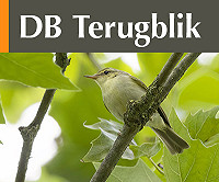 Dutch Birding - International journal on Palearctic birds - Dutch Birding